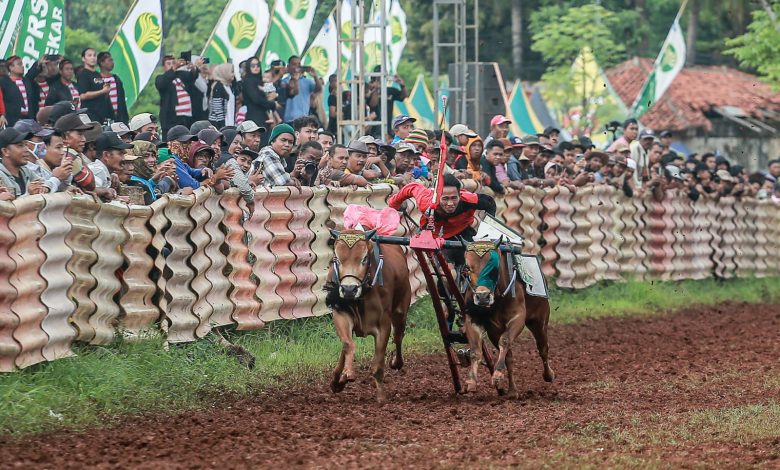 Sumenep Hidupkan Warisan Budaya Lewat Karapan Sapi Bertaraf Nasional ...